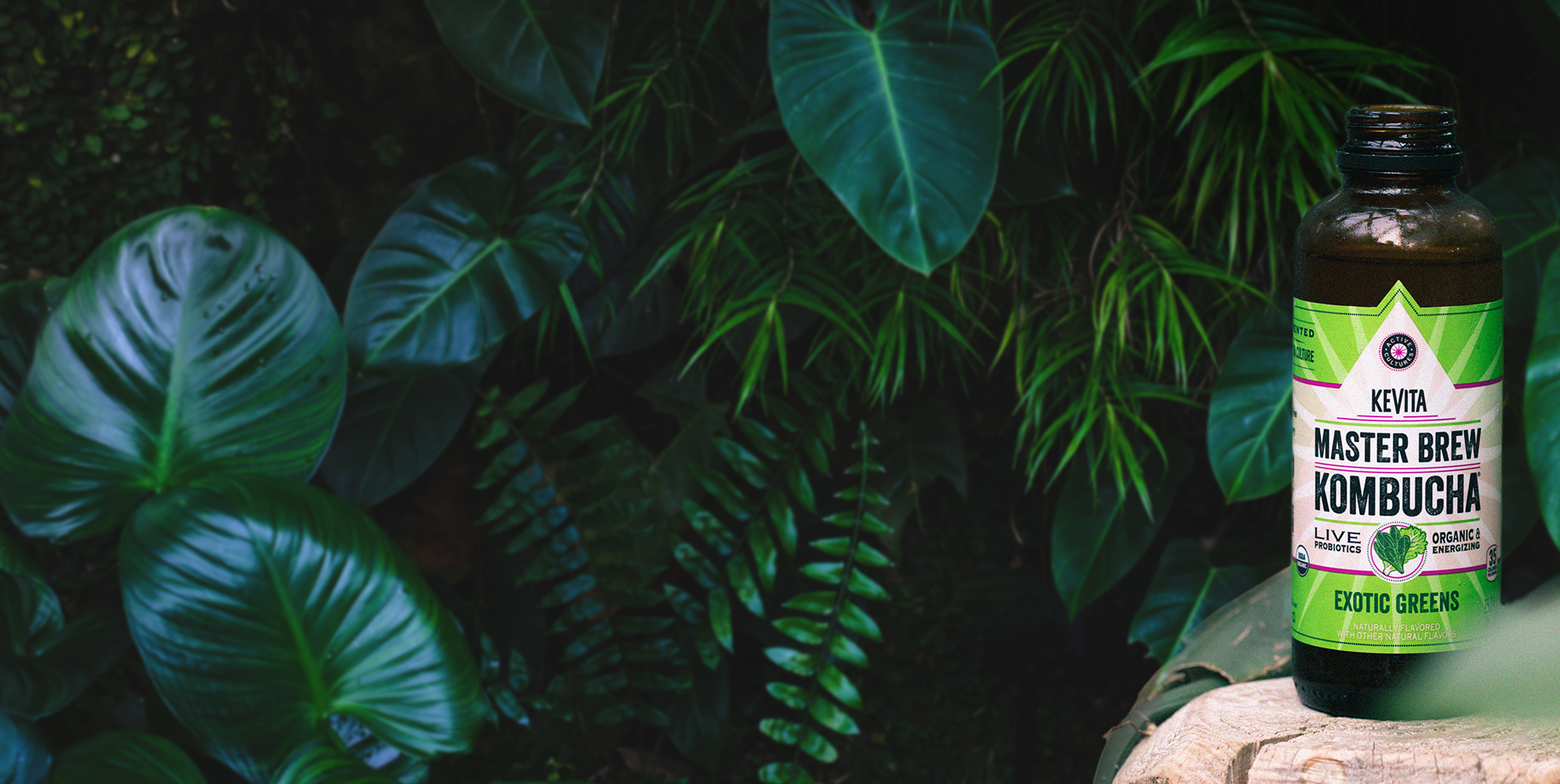 KeVita - Sparkling Probiotic Drink | Master Brew Kombucha